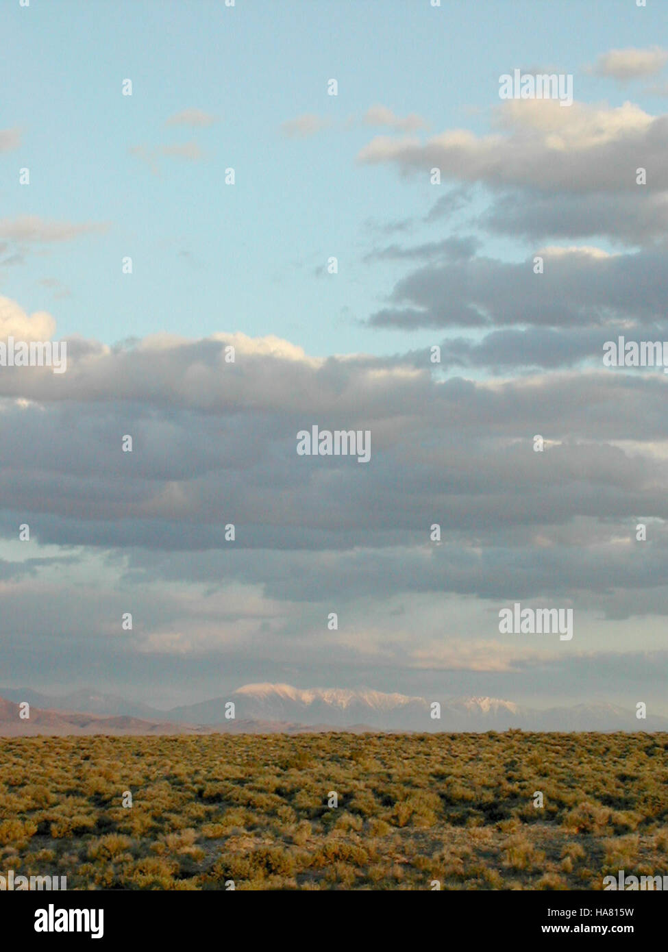 Goshute Canyon Wilderness in Nevada is a remote and ecologically ...