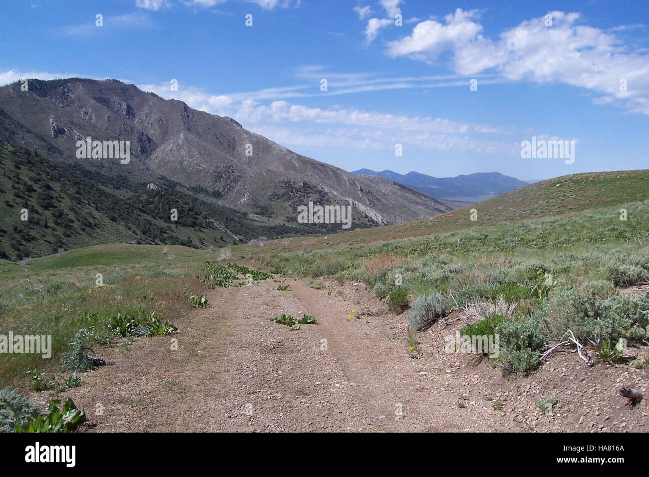 Goshute Canyon Wilderness in Nevada is part of the Bureau of Land ...