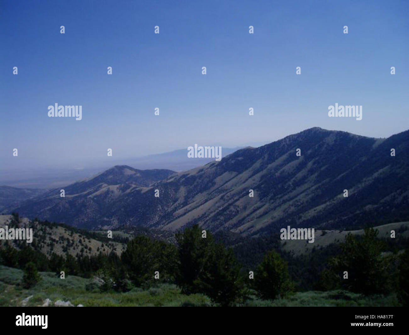 Goshute Canyon Wilderness in Nevada provides an untouched landscape for ...