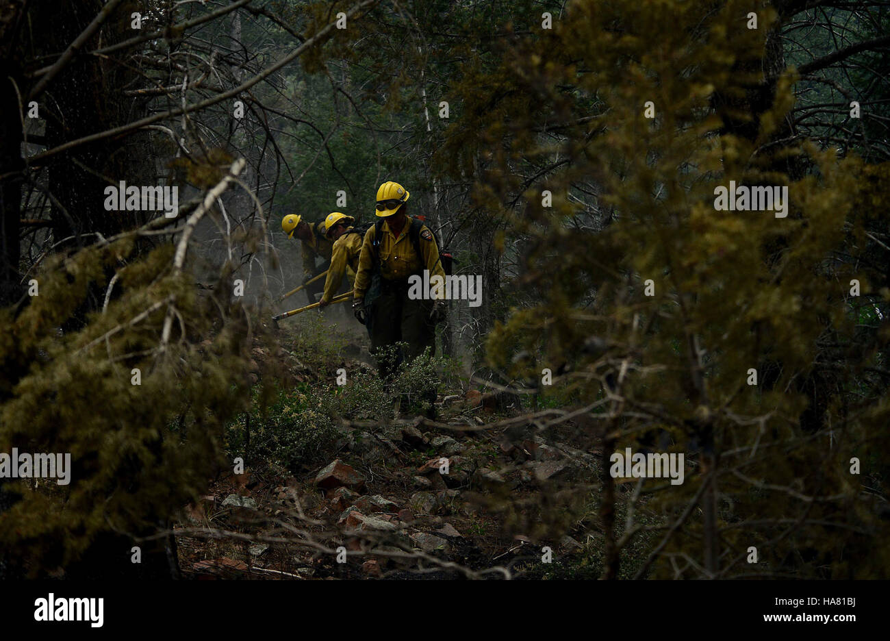 Fire Hot Shots, elite firefighting teams, were deployed to fight the ...