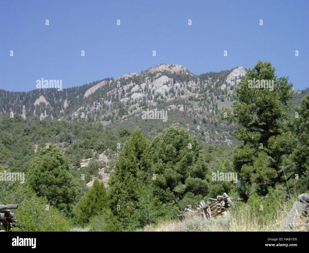 Goshute Canyon Wilderness in Nevada offers a pristine landscape for ...