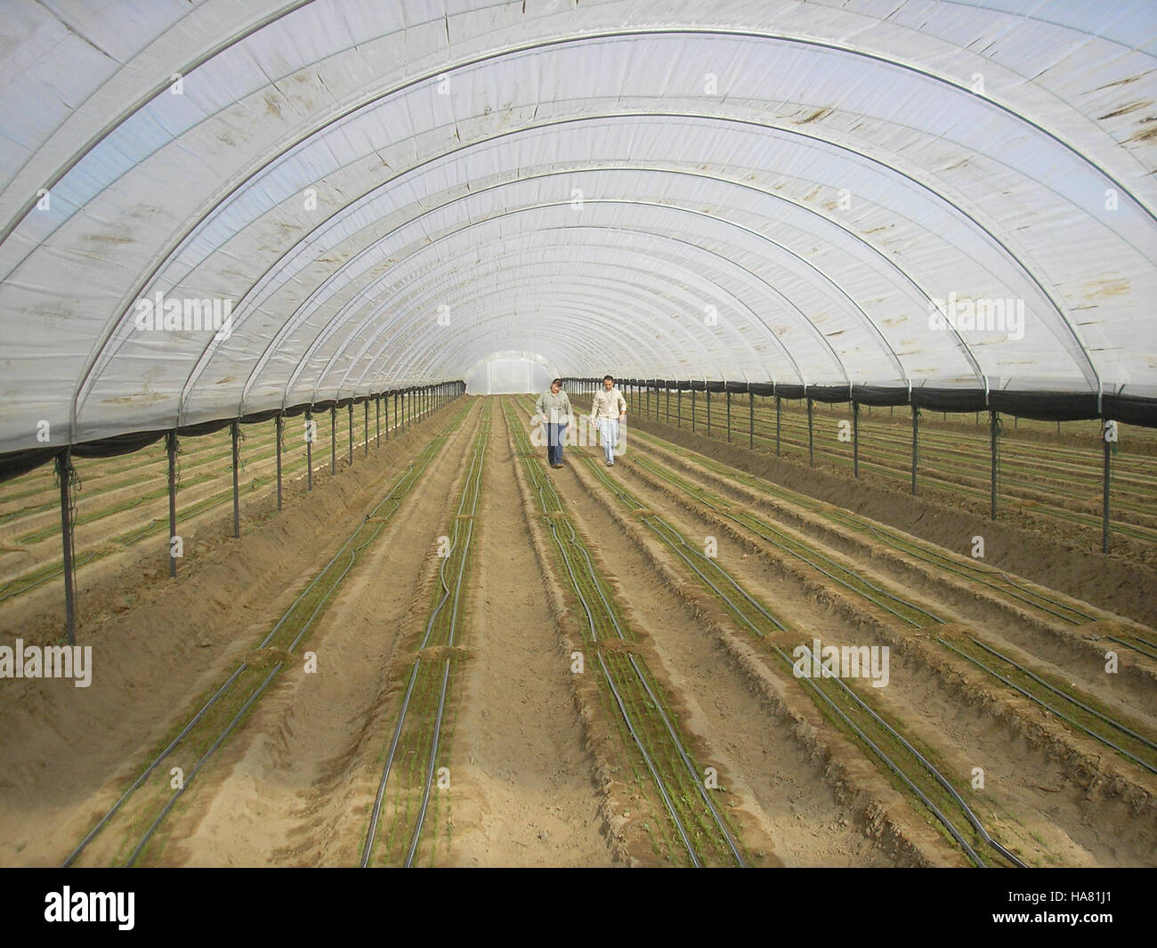 High tunnels, used for agriculture, provide a controlled environment to ...