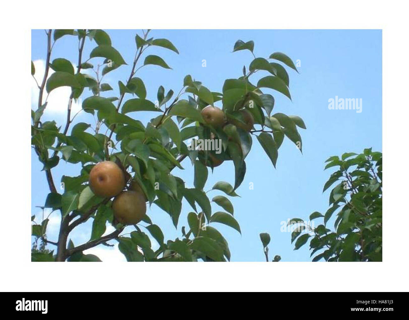 Urban programs Cut Out Stock Images & Pictures - Alamy