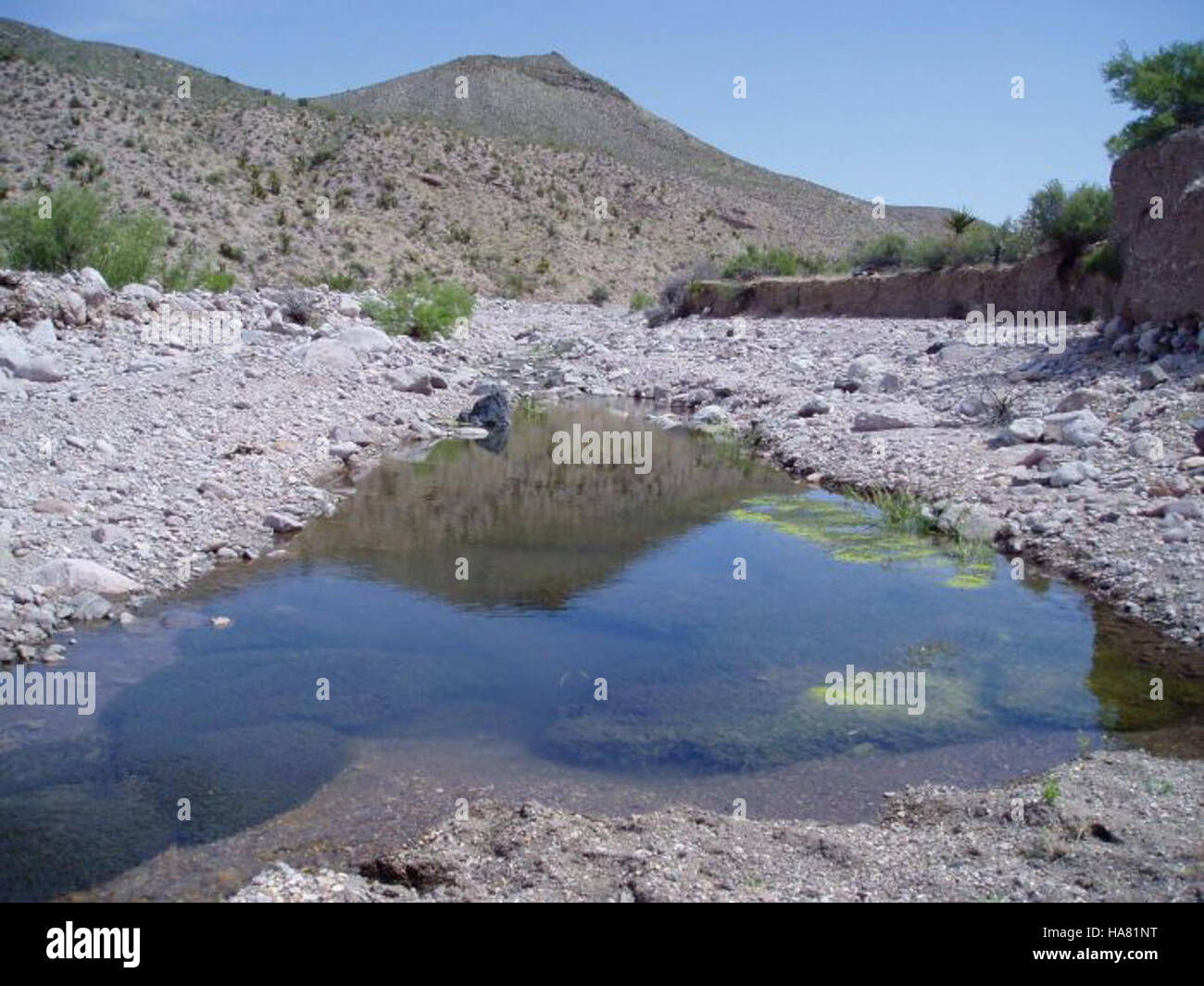 BLM Nevada oversees the management and conservation of Clover Mountain ...