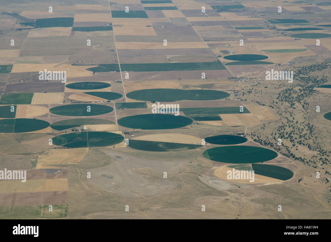 The U.S. Department of Agriculture (USDA) oversees agricultural ...