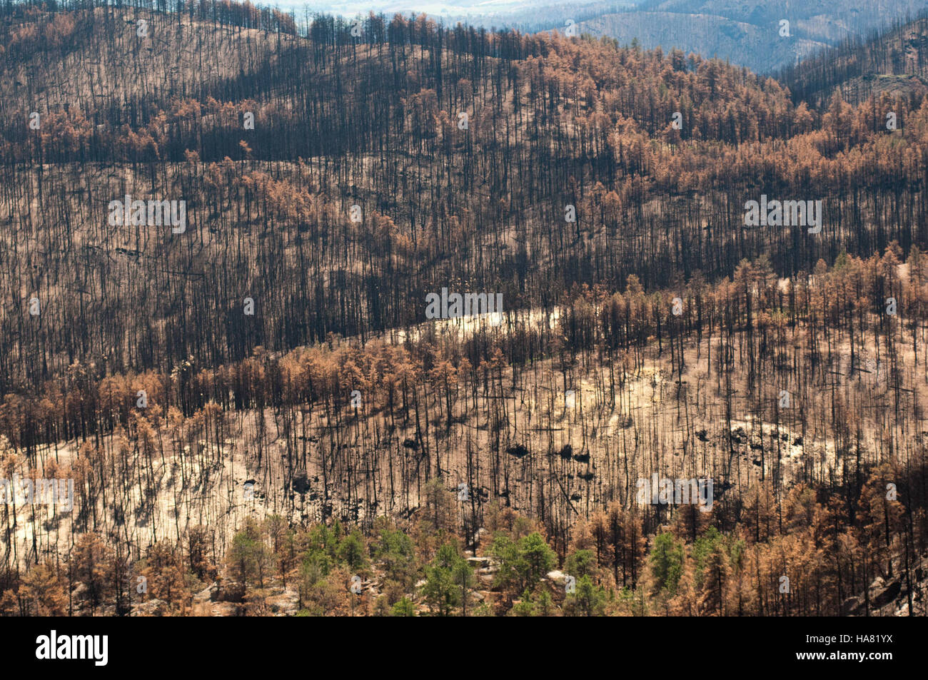 In this operation, the USDA's Natural Resources Conservation Service ...