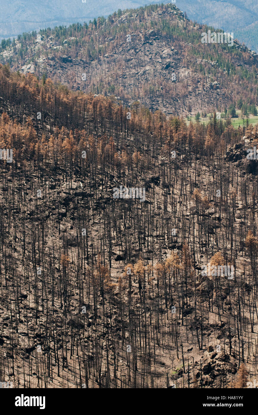 The USDA’s NRCS used aerial application techniques to mitigate debris ...