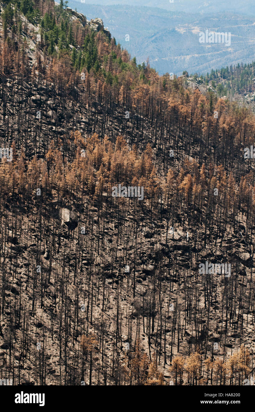 An aerial application of water and ash bales from a UH-1H helicopter to ...