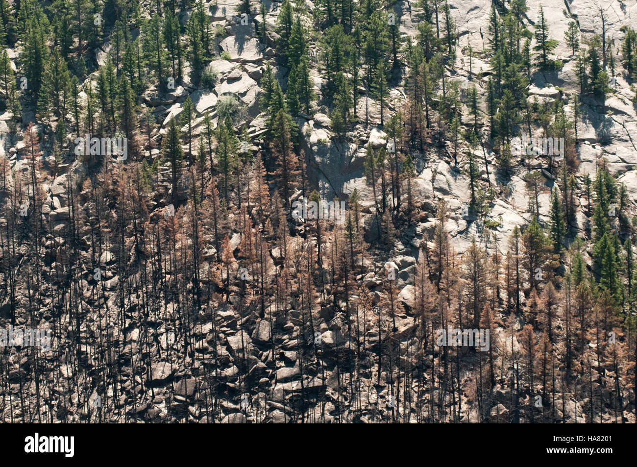 This image shows an A-Star Bell 204 helicopter in action, aiding in ...