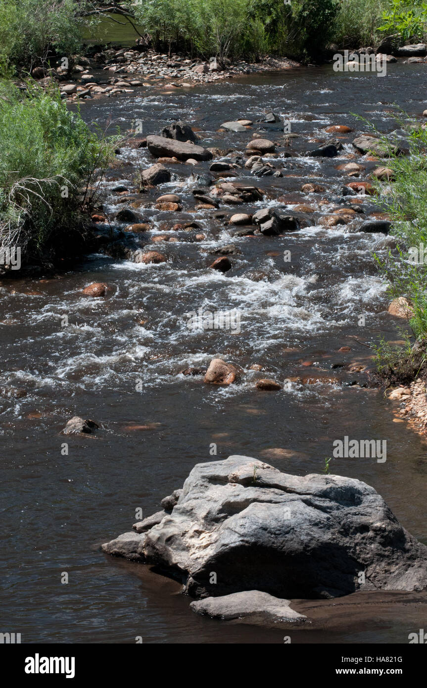 Helicopter lands in trees hi-res stock photography and images - Alamy