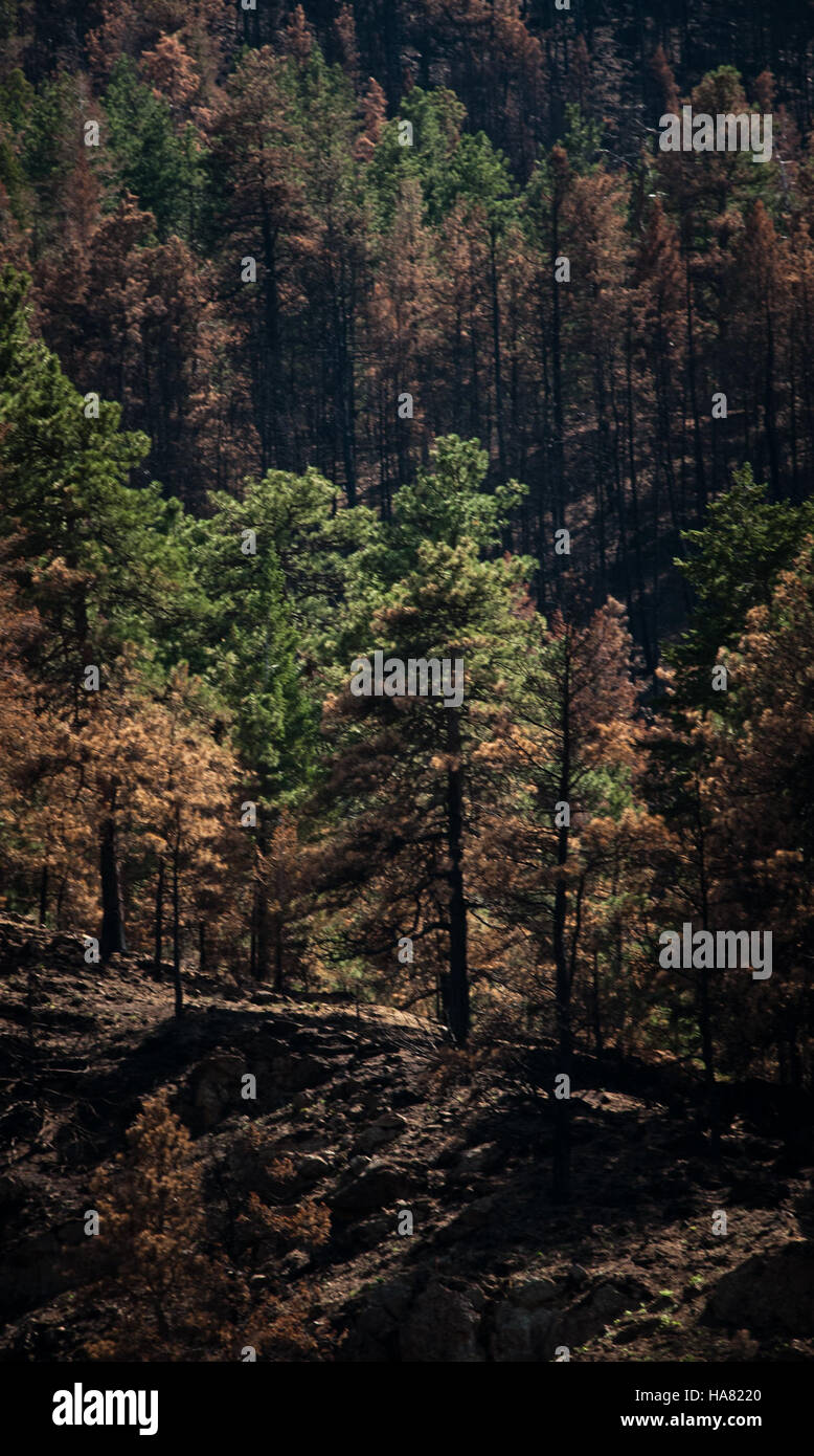 The USDA's Natural Resource and Conservation Service (NRCS) addresses ...