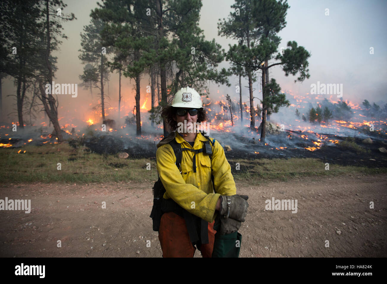 The USDA Forest Service works to protect forests from fires, with ...