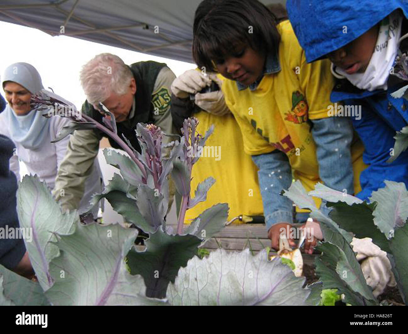 A Washington D.C. chef collaborates with local farmers and agricultural ...