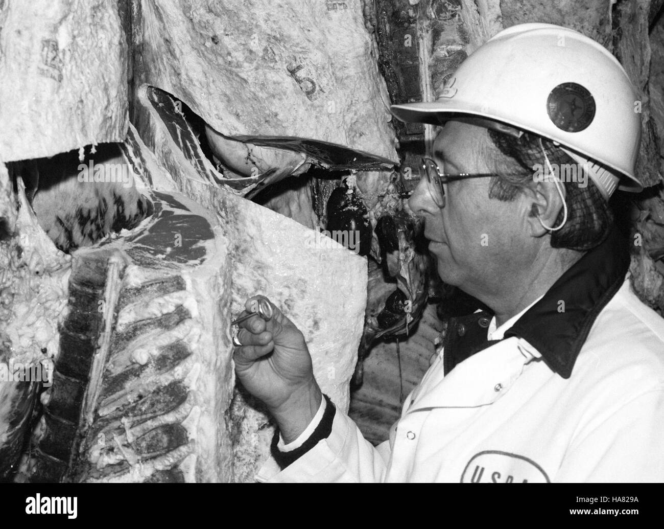 This image represents the USDA’s Food Safety and Inspection Service ...