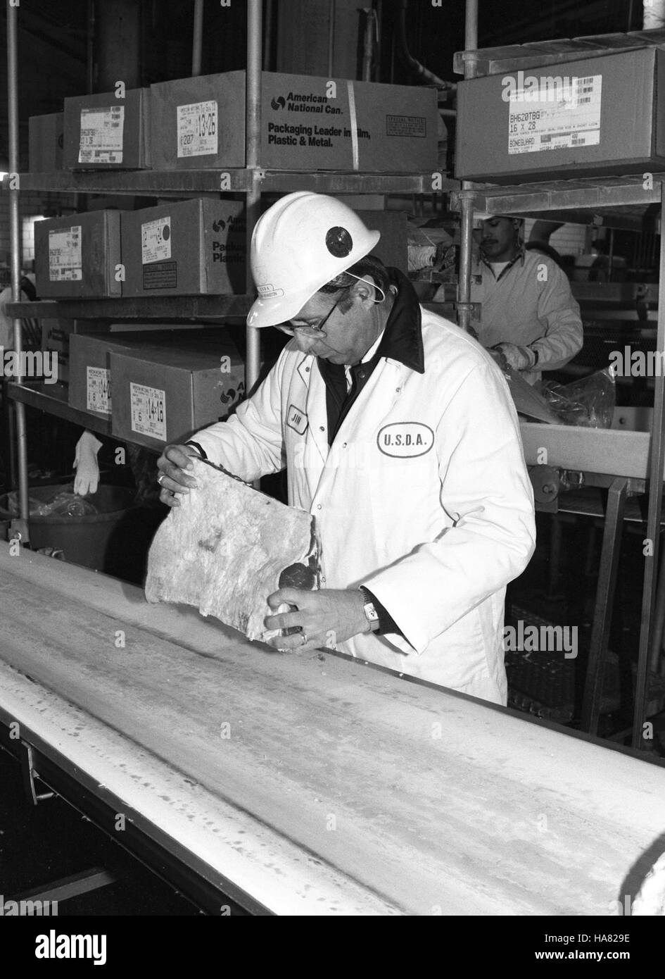 This image shows a detailed view of beef inspection processes in line ...