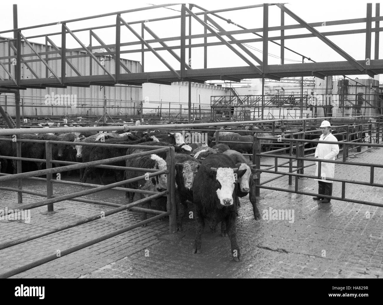 The USDA’s Food Safety and Inspection Service (FSIS) works to ensure ...