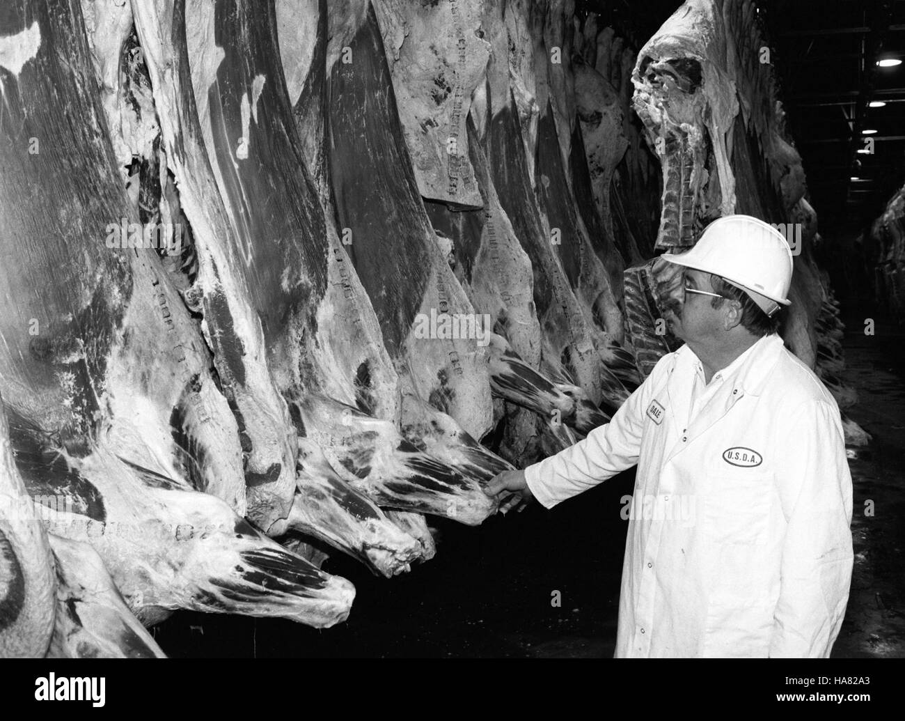 This image highlights the role of the USDA's Food Safety and Inspection ...