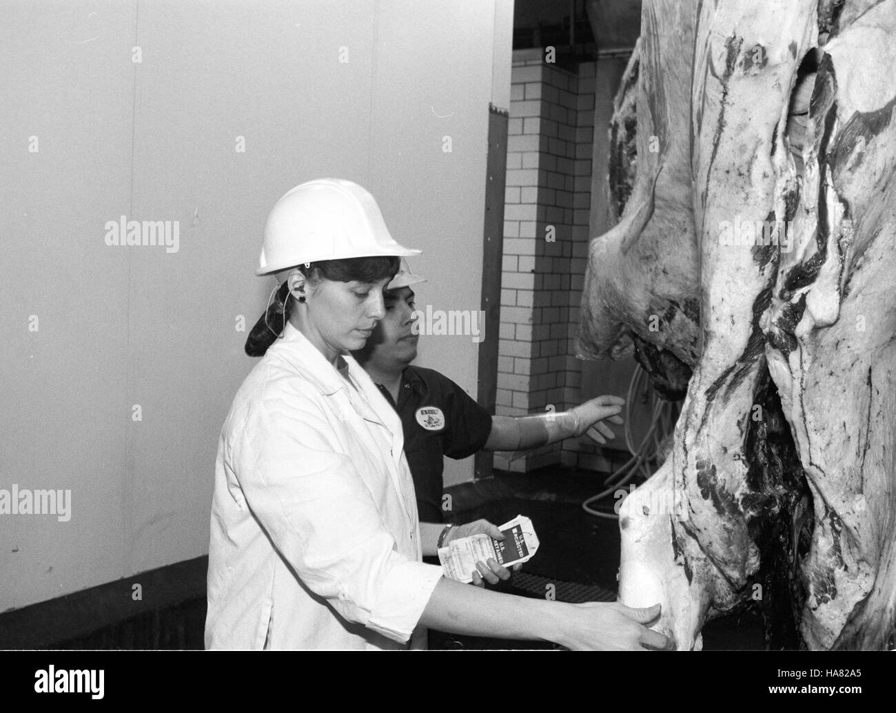 Beef processing u s hi-res stock photography and images - Alamy