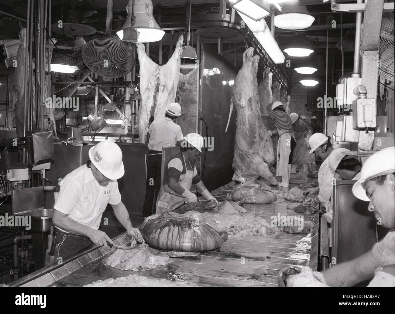 The USDA’s Food Safety and Inspection Service (FSIS) oversees beef ...