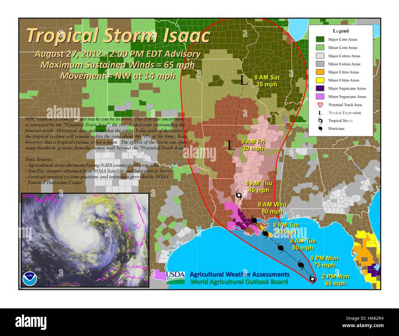 Science diversity research Cut Out Stock Images & Pictures - Alamy