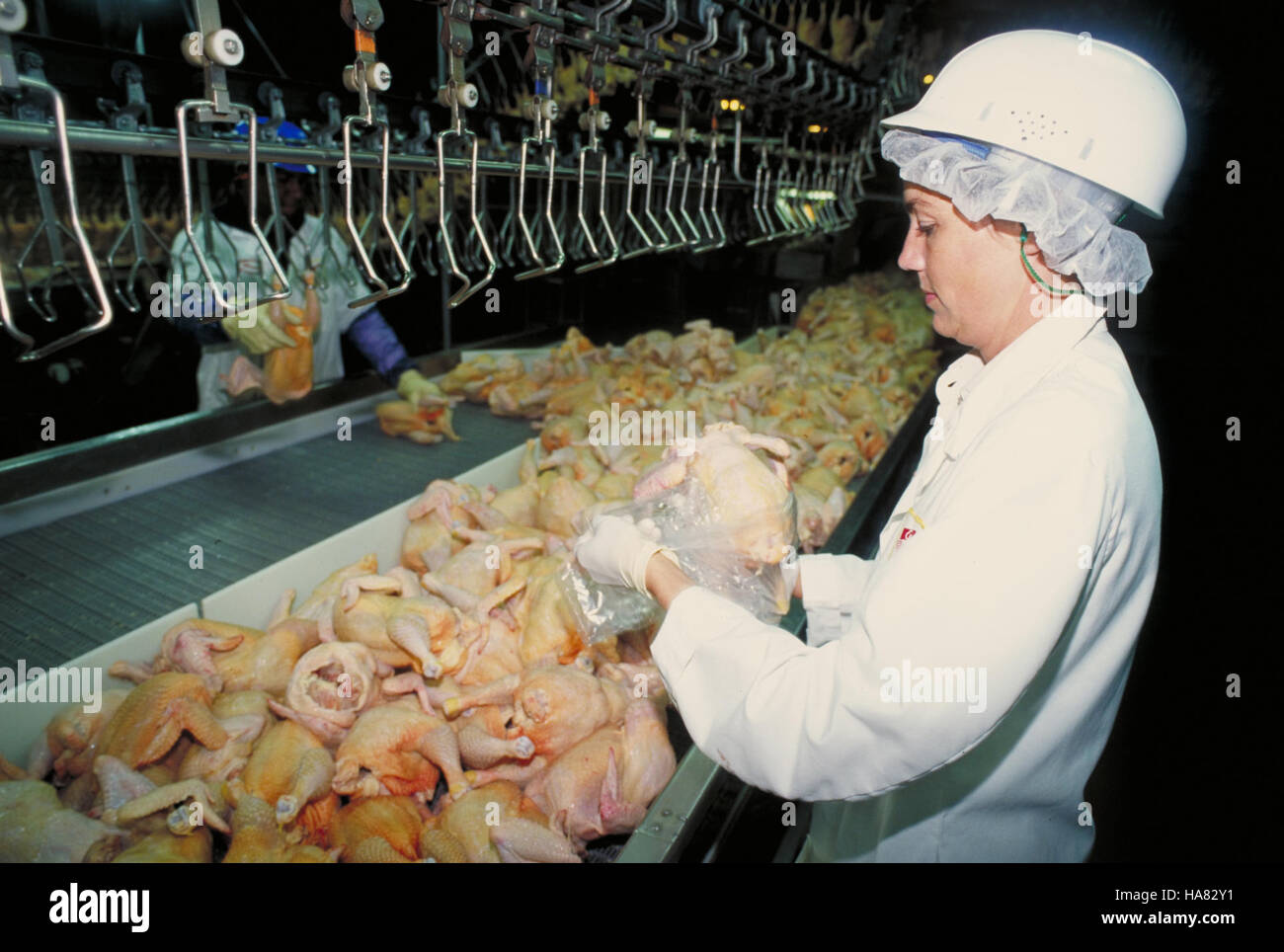 FSIS celebrates the 150th Anniversary of HACCP (Hazard Analysis ...