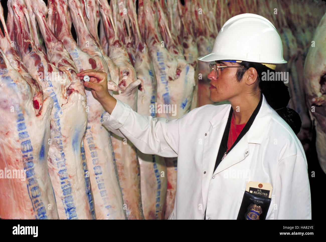 The 150th Anniversary of the FSIS celebrates the organization's role in ...