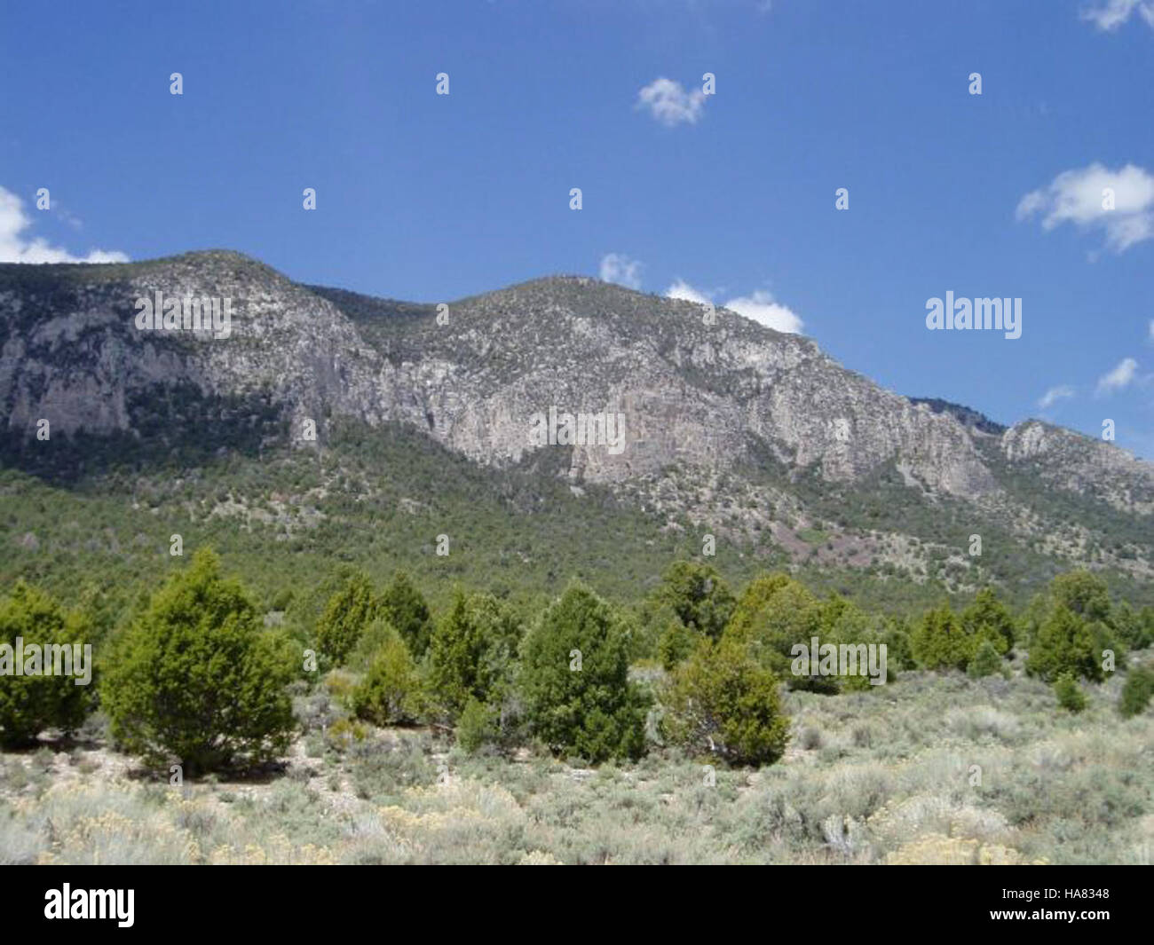 Highland Ridge, a scenic area managed by the Bureau of Land Management ...