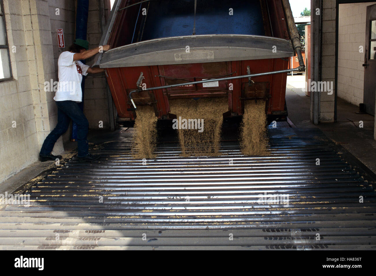 The 150th anniversary of rice production in the U.S. was marked by the ...