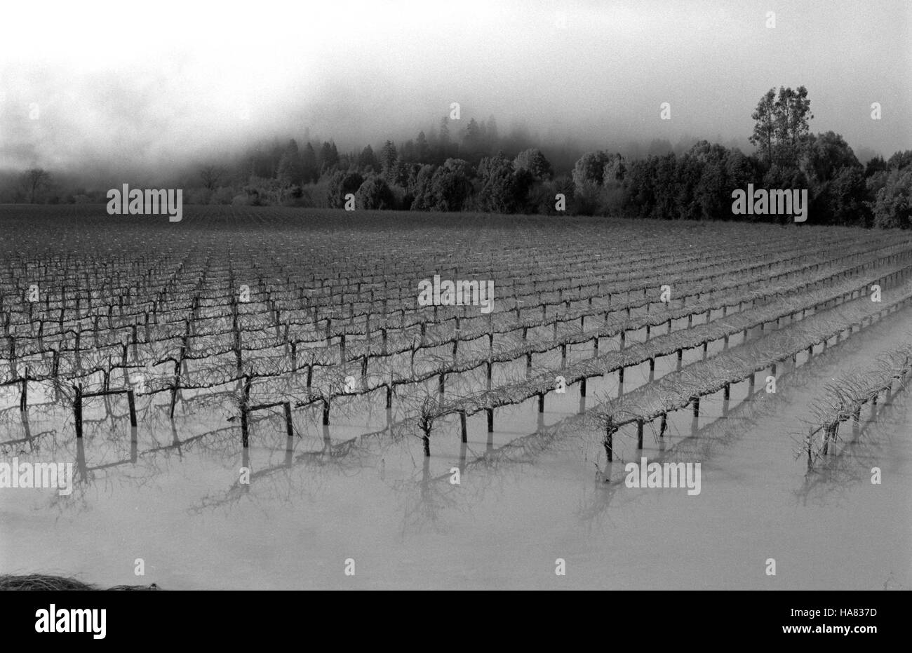 The USDA reflects on its 150 years of service, highlighting its role in ...