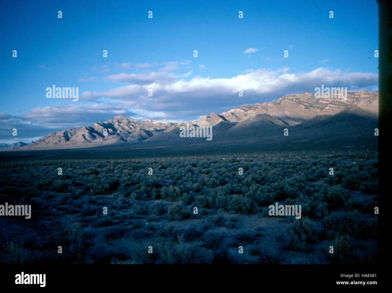 The Far South Egans Wilderness Area, managed by the Bureau of Land ...