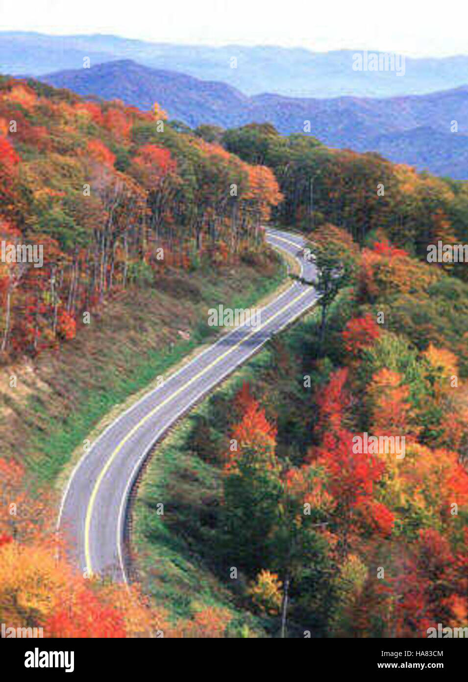 The fall season showcases natural changes, emphasizing the seasonal ...