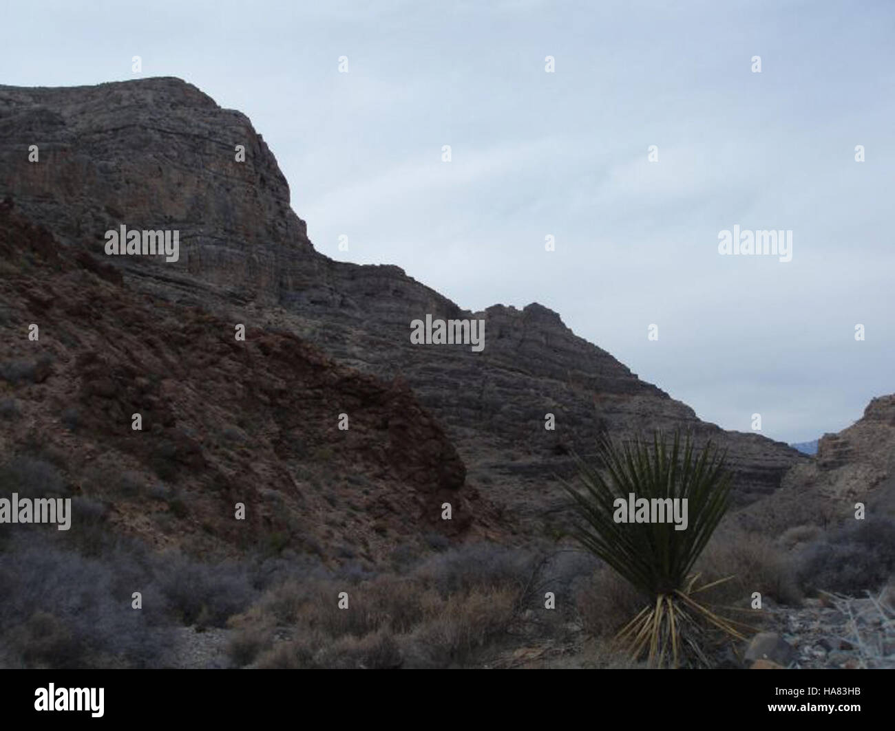 An image of Mormon Mountains, located within a Nevada national park ...