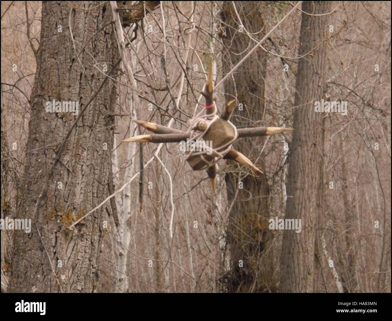 Boobytrap High Resolution Stock Photography and Images - Alamy