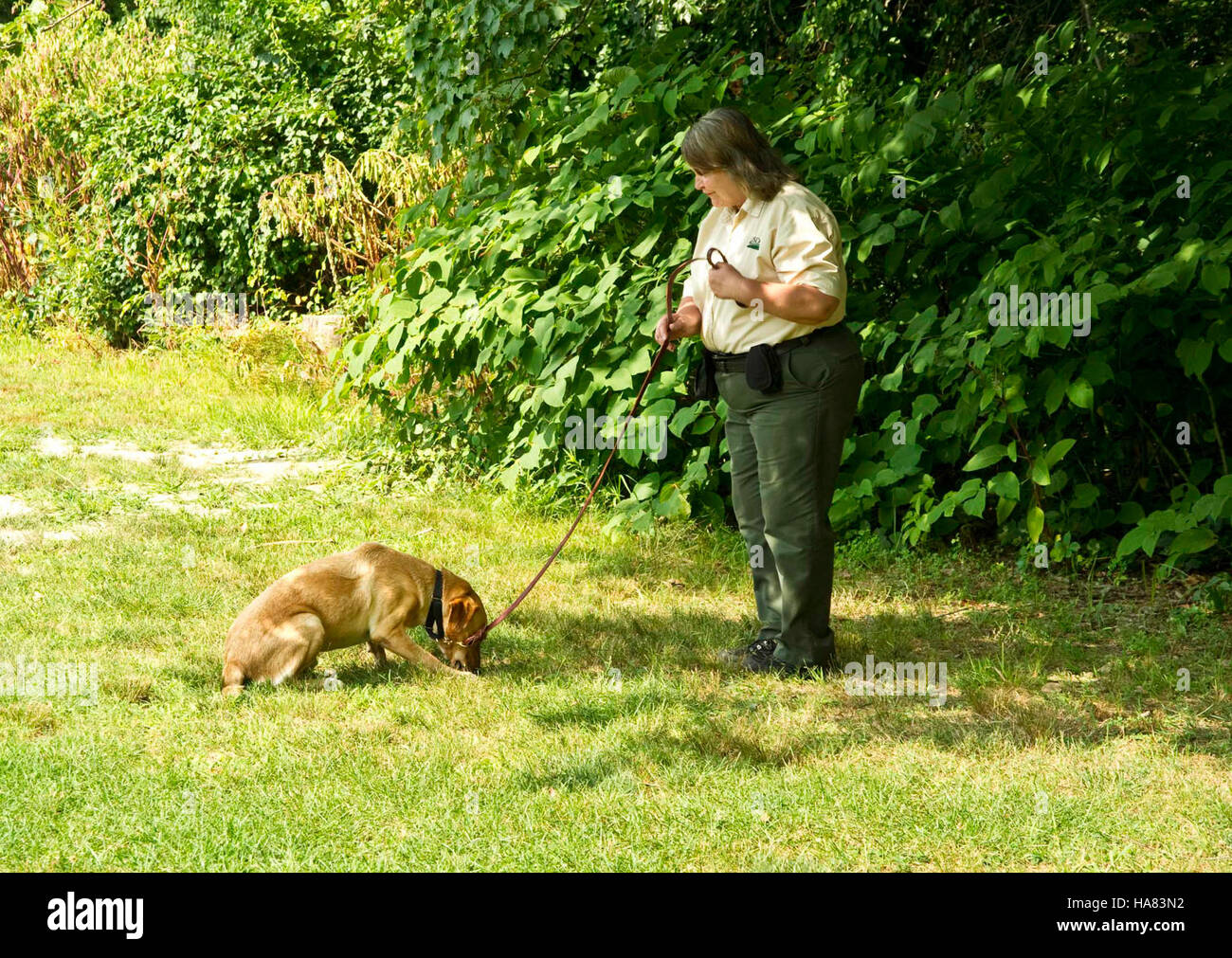 The USDA’s Animal and Plant Health Inspection Service (APHIS) plays a ...
