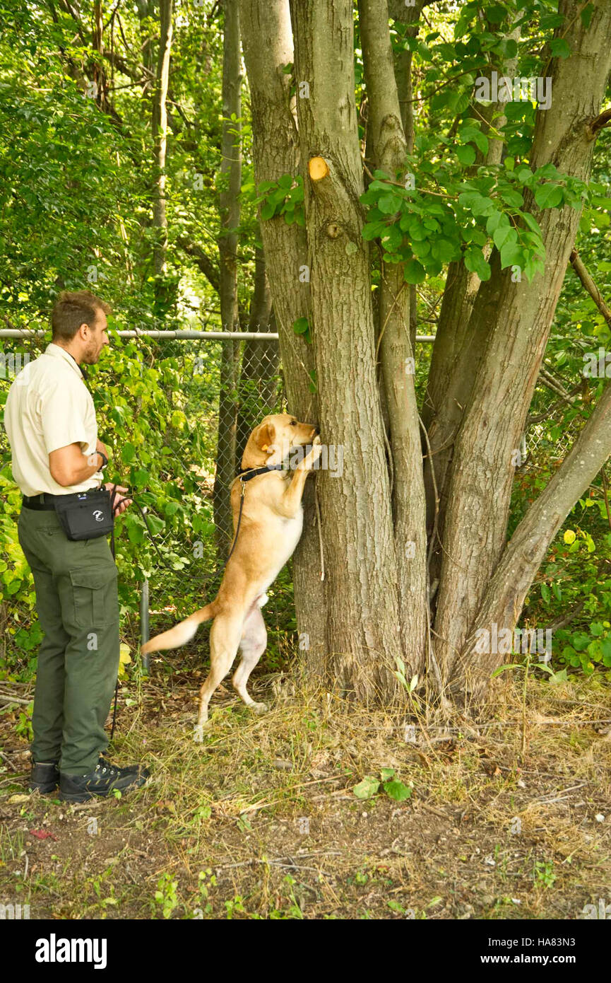 The USDA's Animal and Plant Health Inspection Service (APHIS) plays a ...