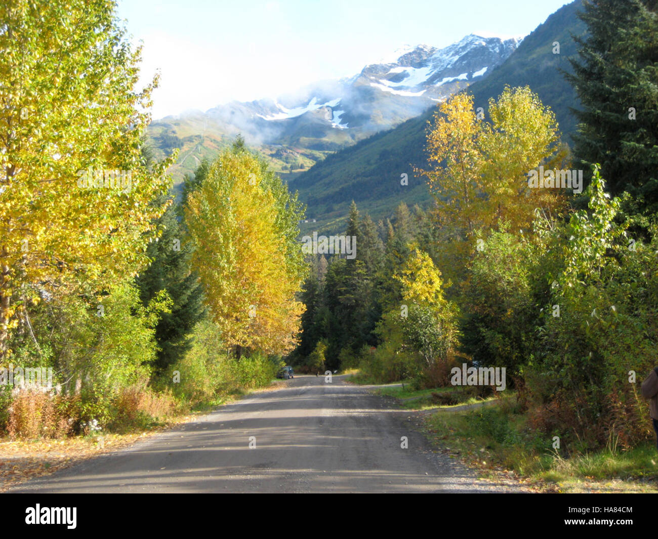 The USDA Forest Service showcases the vibrant fall colors of forests ...