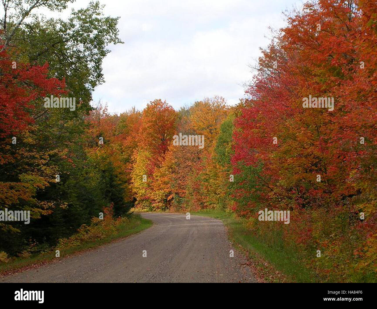 The fall color display in Ottawa National Forest, captured by Susan ...