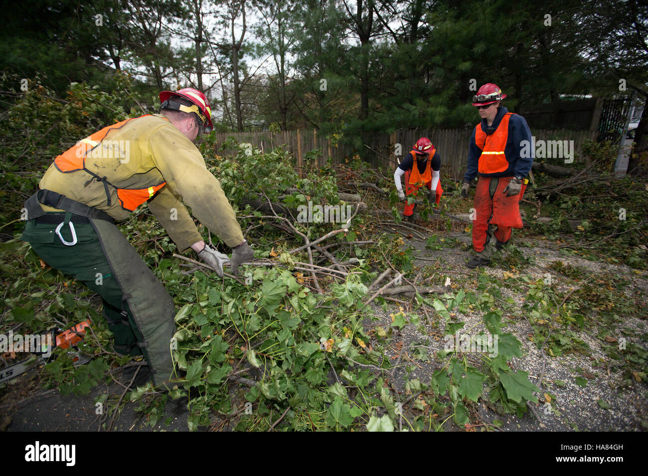 The Forest Service in New York works on recovery efforts after ...