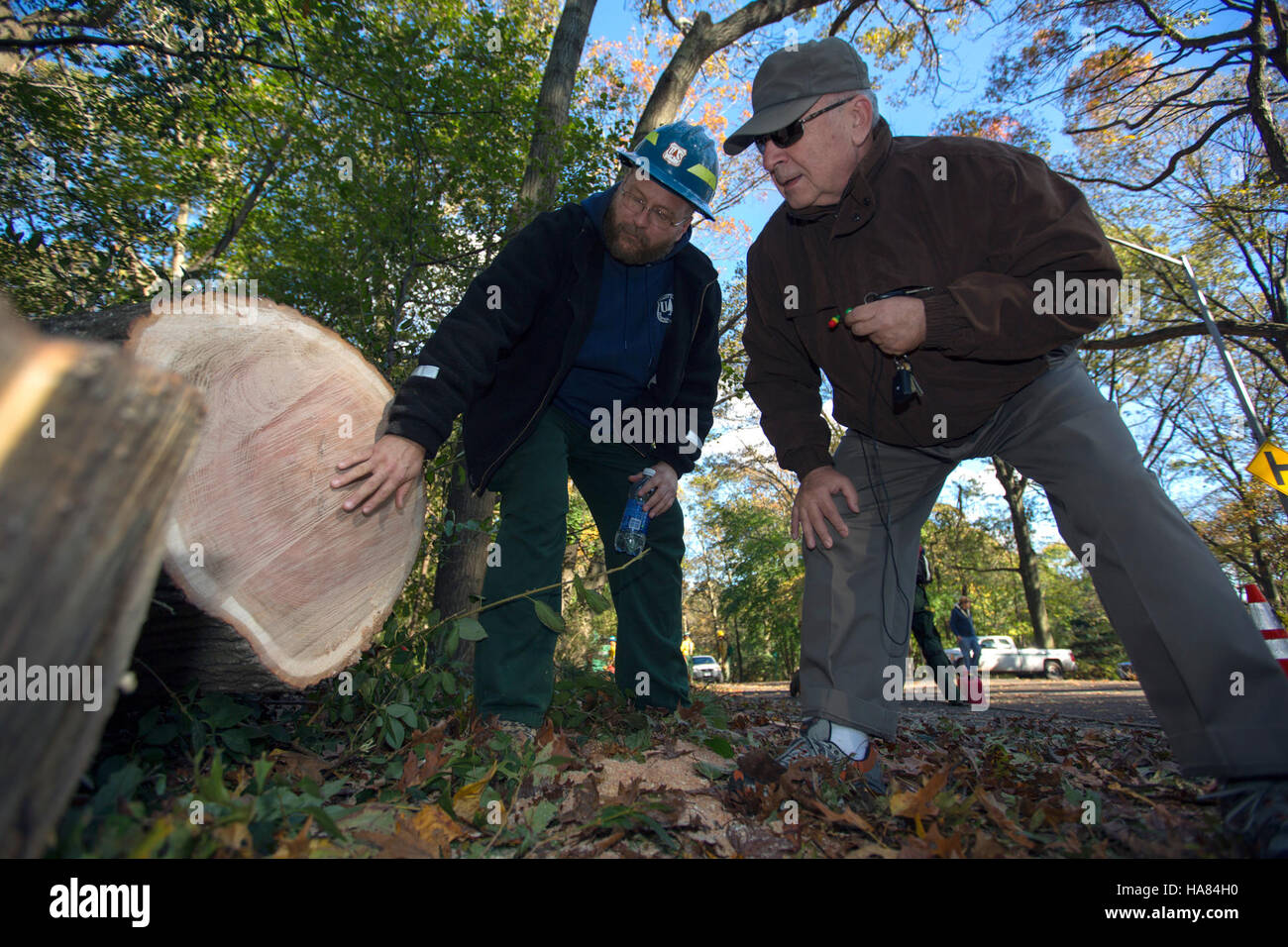 In the aftermath of Hurricane Sandy, USDA programs focused on ...