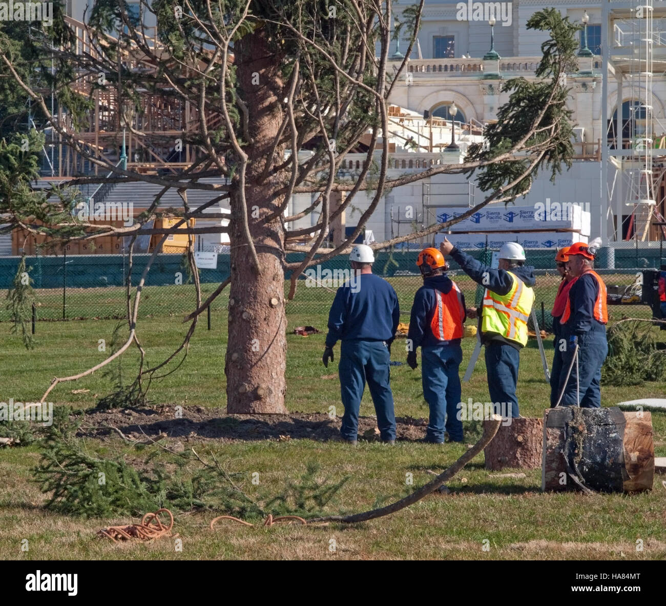 2012 national christmas tree hi-res stock photography and images - Alamy