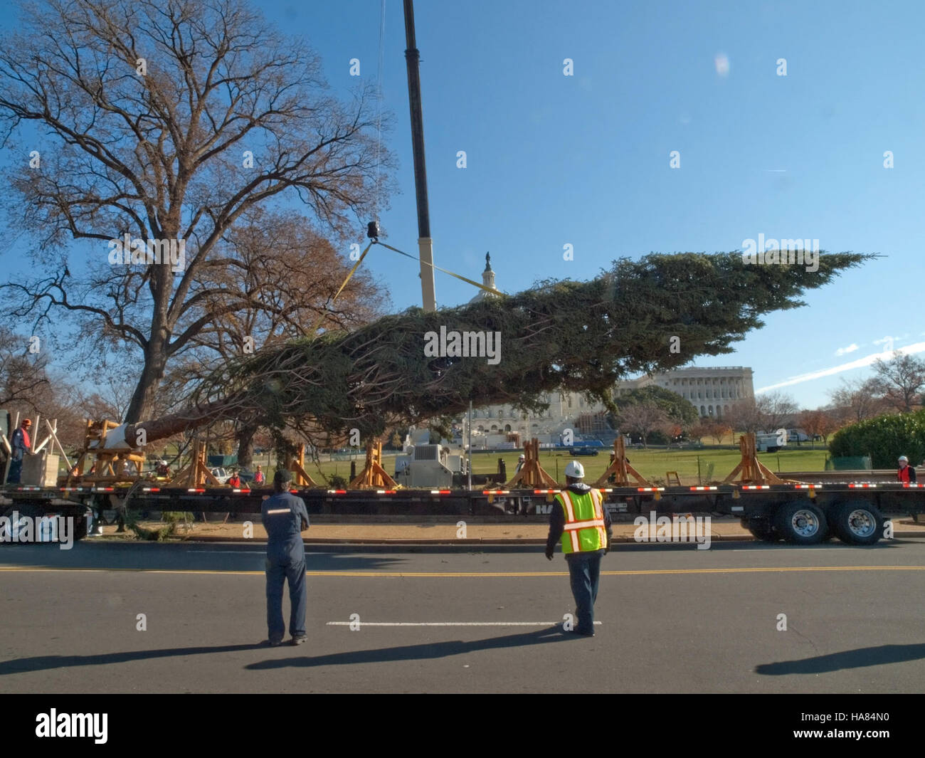 The USDA’s role in managing the Capitol Christmas Tree highlights its ...