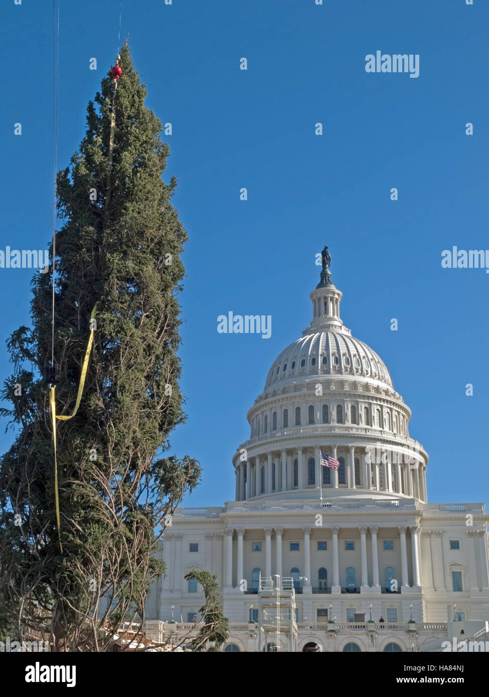 U s national christmas tree hi-res stock photography and images - Alamy