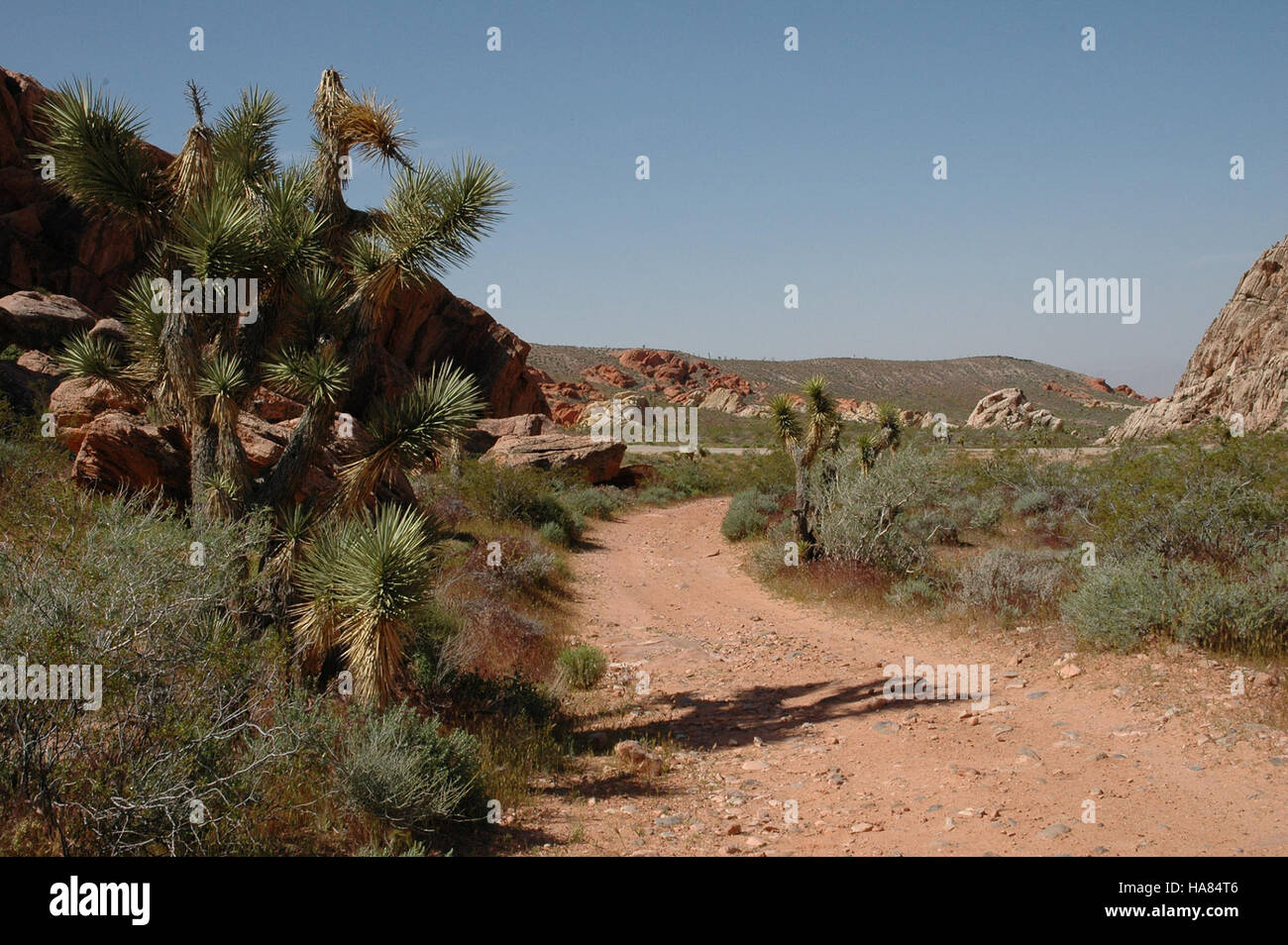 Red Rock Canyon National Conservation Area features stunning geological ...