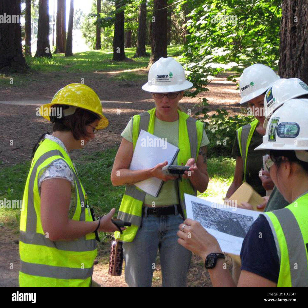 National forest inventory hi-res stock photography and images - Alamy