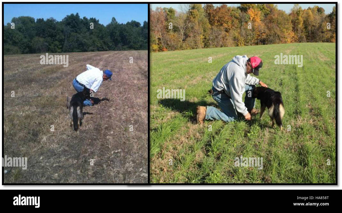 This image shows the impact of forage planting projects managed by the ...