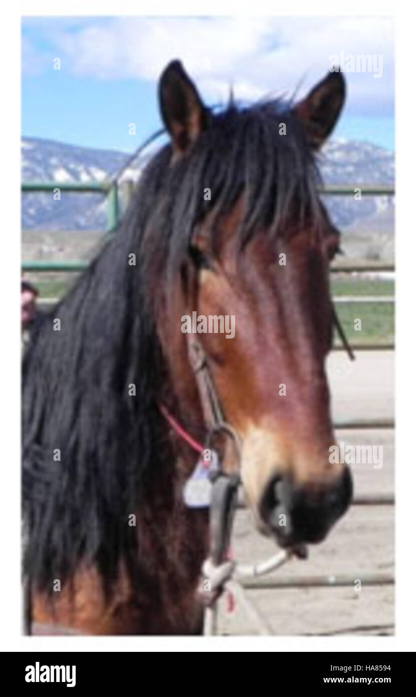 Important ecosystems Cut Out Stock Images & Pictures - Alamy