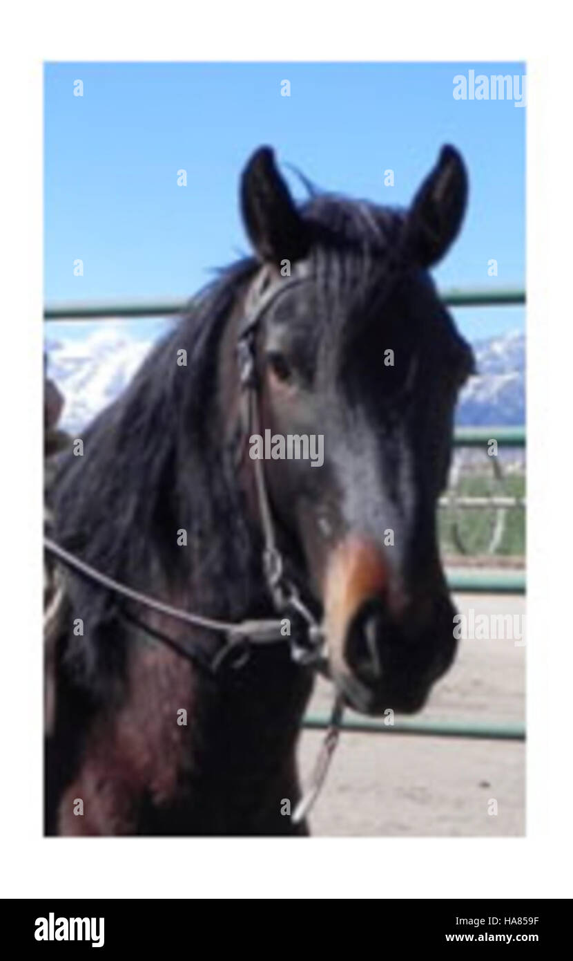 Important ecosystems Cut Out Stock Images & Pictures - Alamy