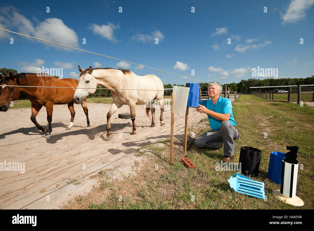 An entomologist from the USDA conducts field research on stable flies ...