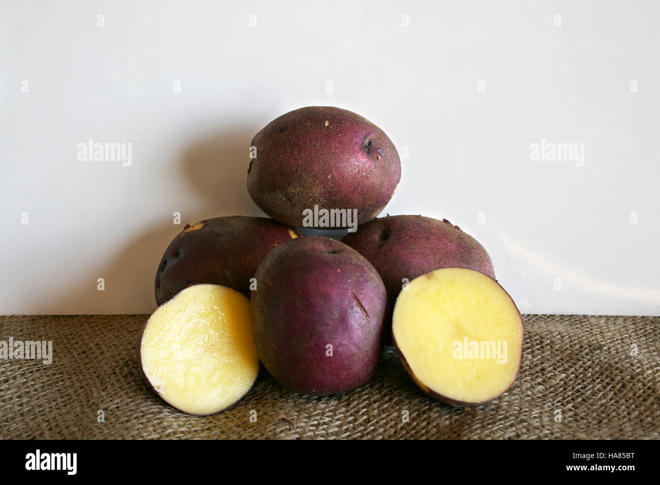 Research on potato farming led by USDA scientist Peter Wilcox, focusing ...