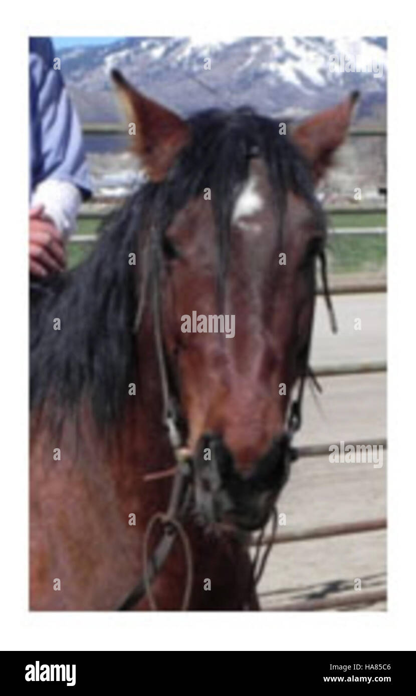 Notable activities Cut Out Stock Images & Pictures - Alamy